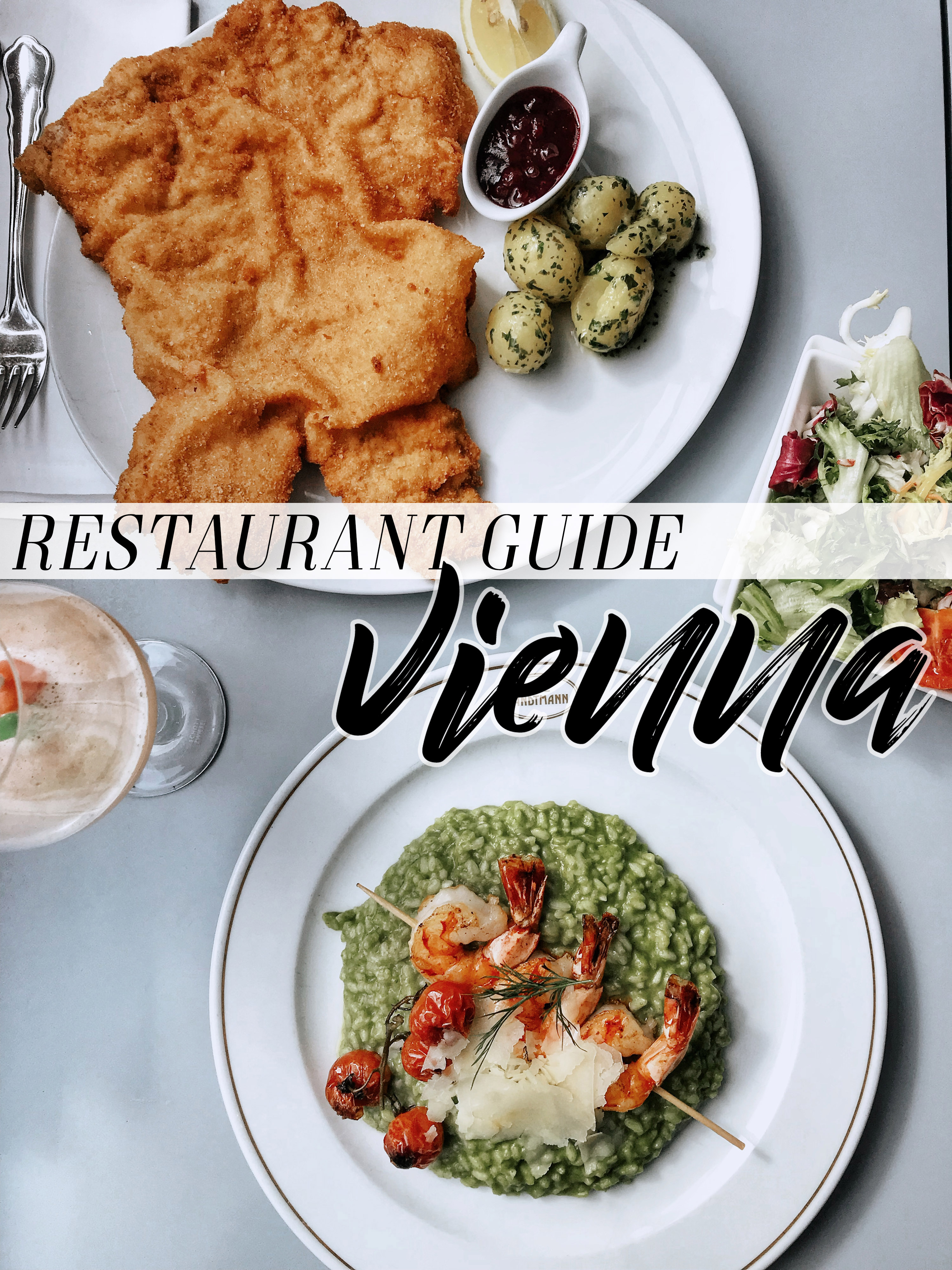 A Taste of Vienna: One Day Travel Guide – hardys on holiday