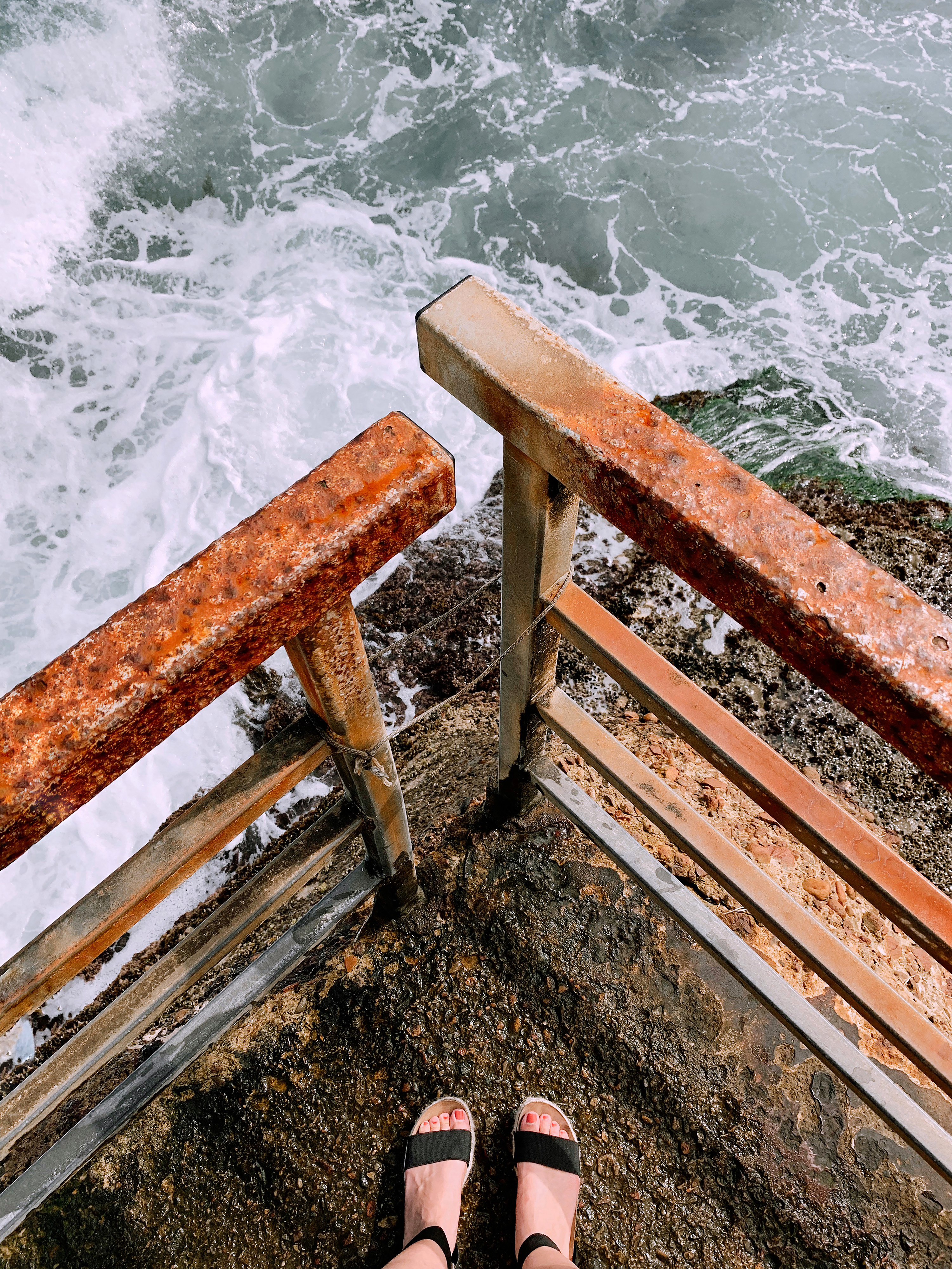 5 Things to Do in La Jolla – hardys on holiday