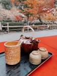 Our Kyoto Experience – hardys on holiday