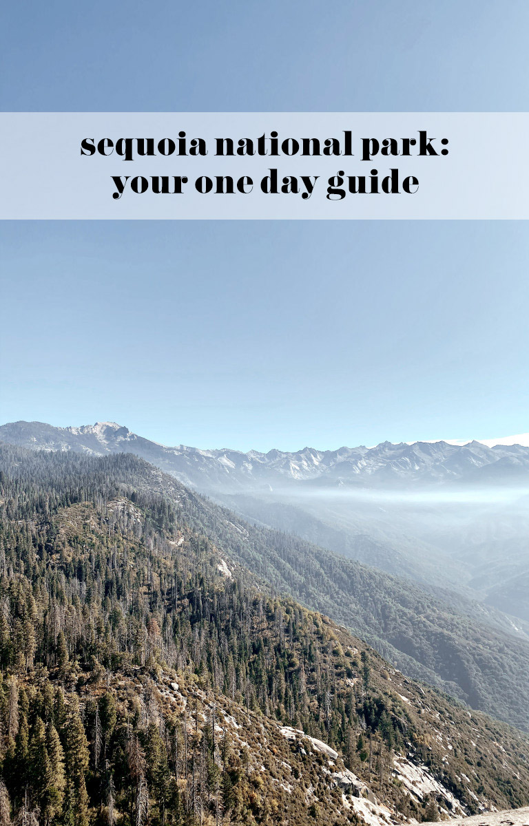 Sequoia National Park Day Trip – hardys on holiday