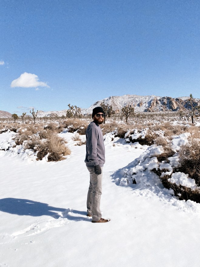 Glamping in Joshua Tree: Round 2 – hardys on holiday